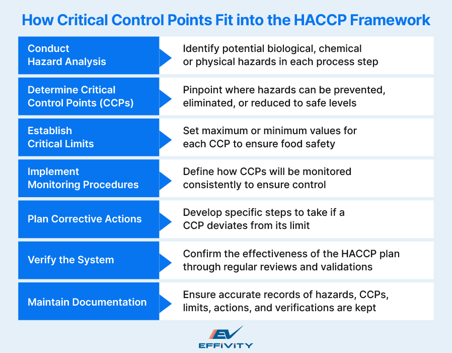 What is a Critical Control Point (CCP)?